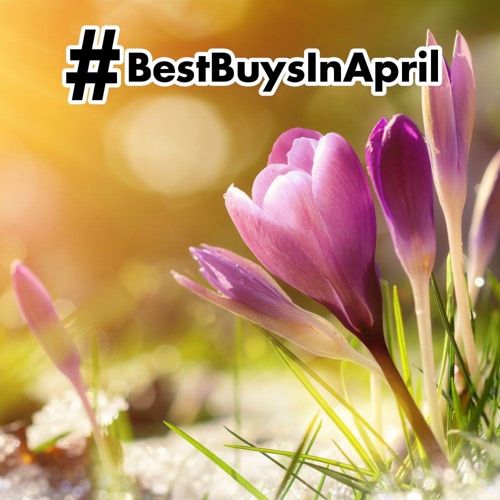 What to Buy and What to Skip in April