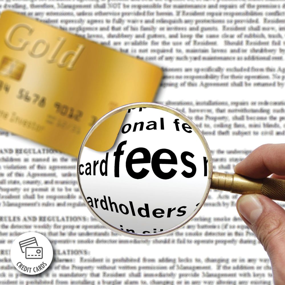 All You Need to Know About Credit Card Merchant Fees